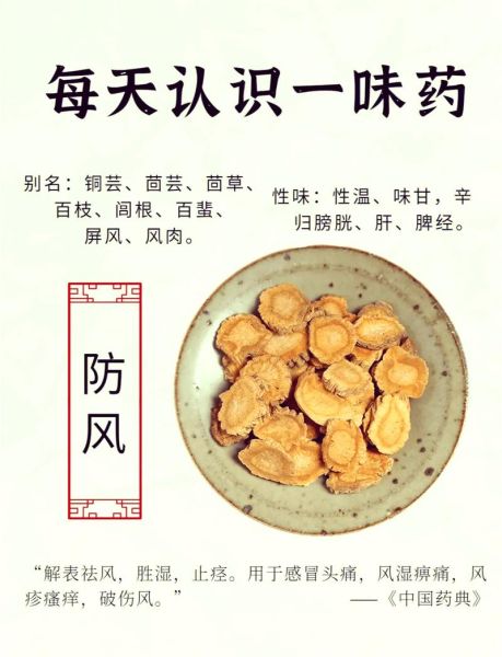 防风的功效与作用_防风有哪些副作用-第2张图片-山城妙识 防风的功效与作用_防风有哪些副作用-第2张图片-山城妙识