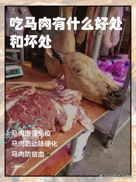 马肉好吃吗_马肉是什么味道-第1张图片-山城妙识 马肉好吃吗_马肉是什么味道-第1张图片-山城妙识
