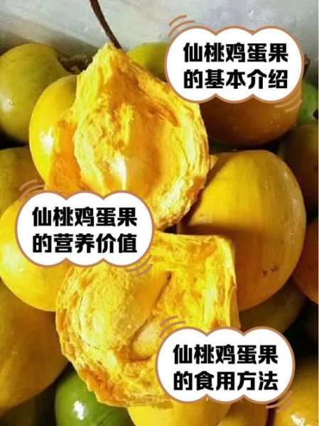 鸡蛋果什么时候成熟_如何判断成熟-第1张图片-山城妙识 鸡蛋果什么时候成熟_如何判断成熟-第1张图片-山城妙识