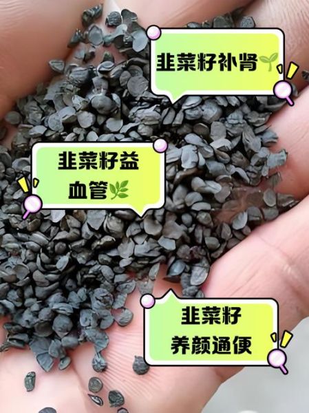 韭菜籽的副作用_韭菜籽的禁忌人群-第2张图片-山城妙识