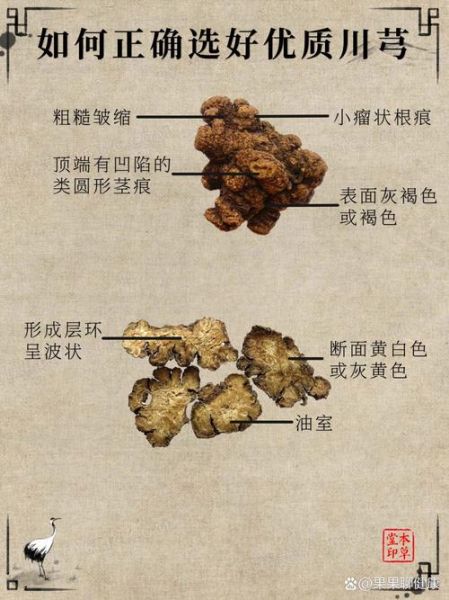 川芎的功效与作用点有哪些_川芎怎么吃效果最好-第1张图片-山城妙识