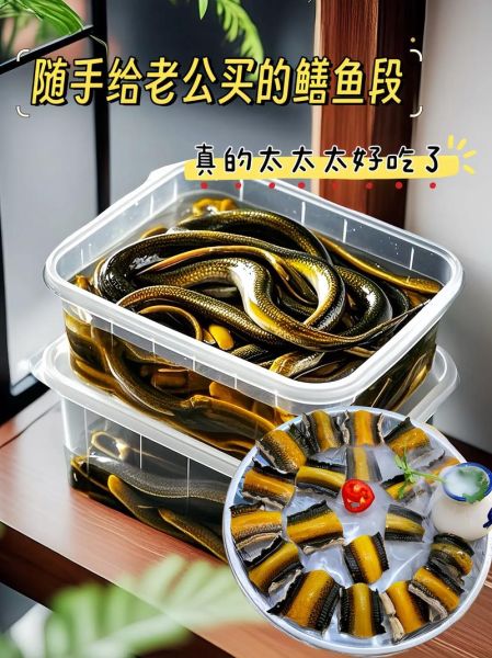 黄鳝怎么处理干净_黄鳝去粘液方法-第3张图片-山城妙识