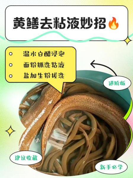黄鳝怎么处理干净_黄鳝去粘液方法-第1张图片-山城妙识