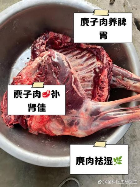 麂子肉怎么做好吃_麂子肉价格多少钱一斤-第1张图片-山城妙识