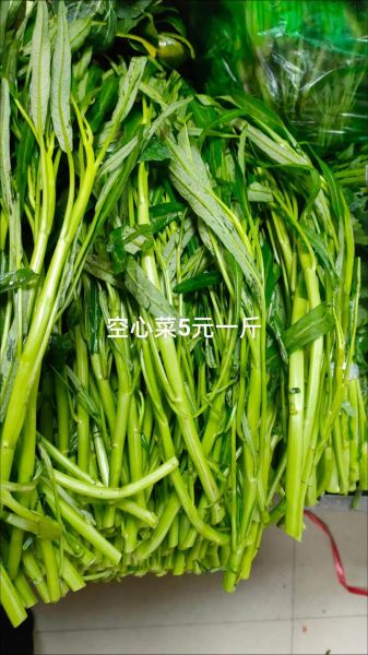 河蚌价格多少钱一斤_河蚌批发价和零售价区别-第1张图片-山城妙识 河蚌价格多少钱一斤_河蚌批发价和零售价区别-第1张图片-山城妙识