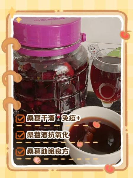 桑葚泡酒的做法大全_桑葚酒怎么泡才更香-第3张图片-山城妙识 桑葚泡酒的做法大全_桑葚酒怎么泡才更香-第3张图片-山城妙识