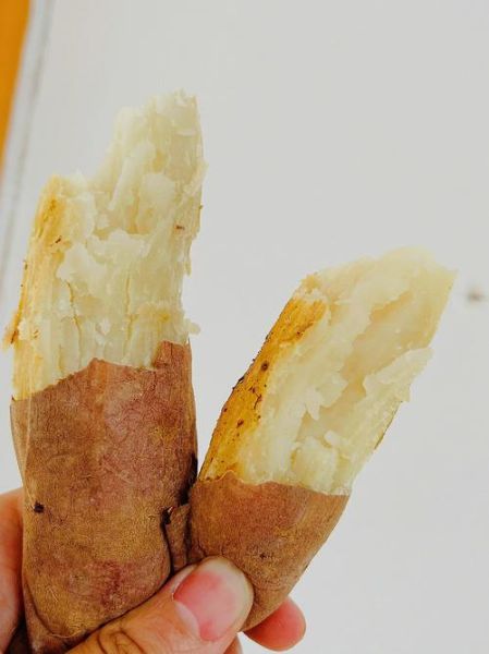 白薯怎么做好吃_白薯最简单的家常做法-第1张图片-山城妙识 白薯怎么做好吃_白薯最简单的家常做法-第1张图片-山城妙识