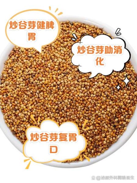 炒谷芽的功效与作用及禁忌_什么人不能吃-第2张图片-山城妙识