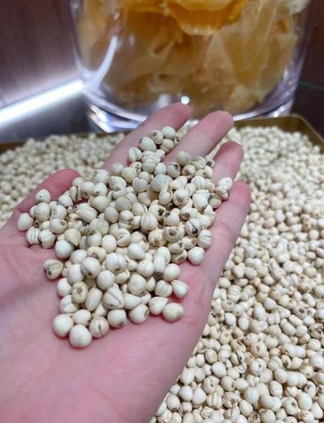 去肺结节的两味药是什么_川贝母配夏枯草有效吗-第1张图片-山城妙识 去肺结节的两味药是什么_川贝母配夏枯草有效吗-第1张图片-山城妙识