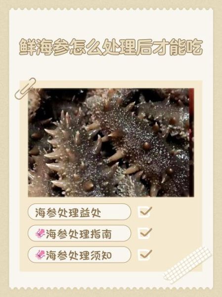 鲜海参怎么处理_鲜海参怎么吃最好-第1张图片-山城妙识