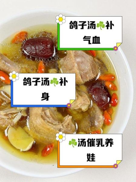 产妇鸽子汤怎么炖好喝又营养_产妇鸽子汤炖多久最佳-第2张图片-山城妙识