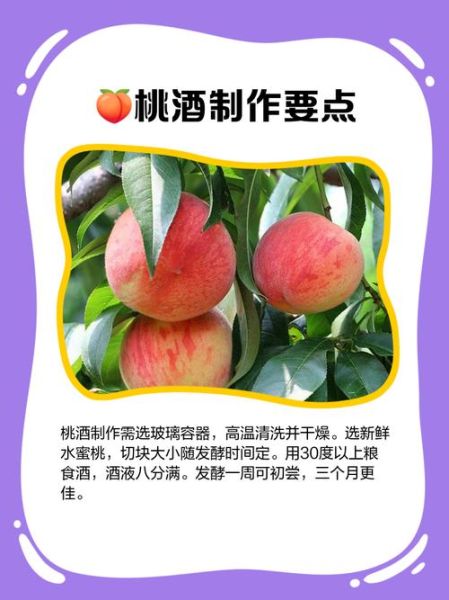 桃子酒怎么做_桃子酒度数一般多少-第3张图片-山城妙识 桃子酒怎么做_桃子酒度数一般多少-第3张图片-山城妙识