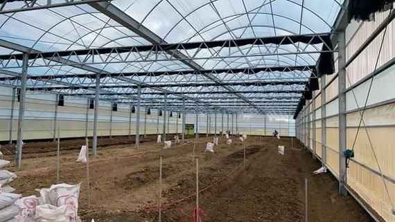 蔬菜大棚造价多少钱一平_蔬菜大棚造价预算明细-第3张图片-山城妙识 蔬菜大棚造价多少钱一平_蔬菜大棚造价预算明细-第3张图片-山城妙识