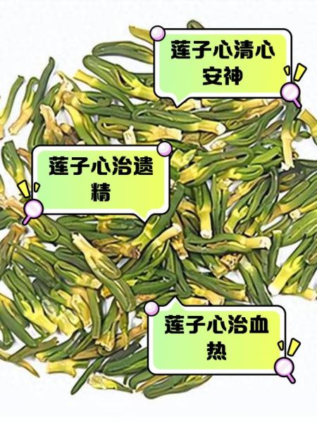莲子心的功效与作用_莲子心的禁忌症-第1张图片-山城妙识