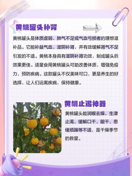 黄桃的功效与作用_黄桃的营养价值有哪些-第2张图片-山城妙识