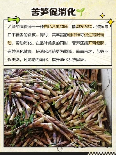 苦笋的功效与作用_苦笋怎么吃不上火-第1张图片-山城妙识