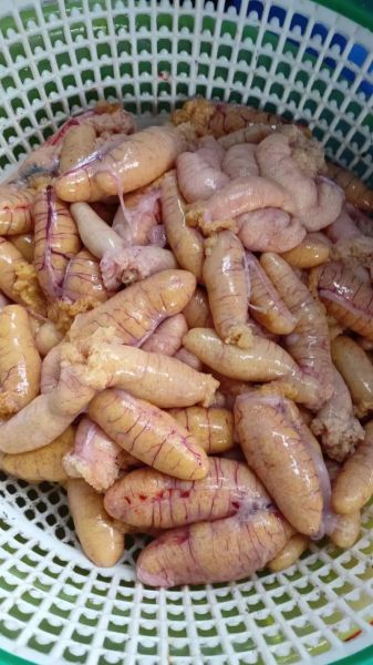 鱼肚多少钱一斤_鱼肚有什么营养价值-第2张图片-山城妙识