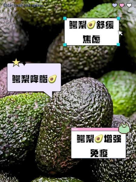 鳄梨怎么挑选_鳄梨图片大全-第3张图片-山城妙识 鳄梨怎么挑选_鳄梨图片大全-第3张图片-山城妙识