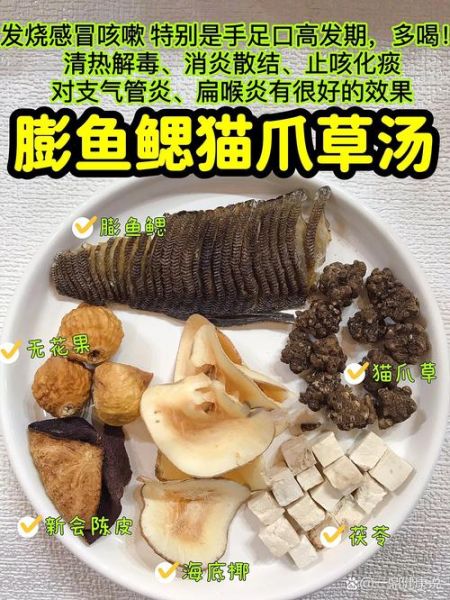 膨鱼鳃的功效与作用_膨鱼腮怎么煲汤最润肺-第3张图片-山城妙识 膨鱼鳃的功效与作用_膨鱼腮怎么煲汤最润肺-第3张图片-山城妙识