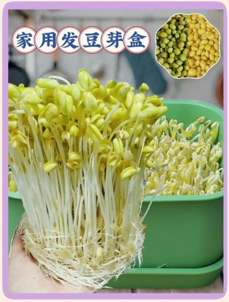 豆芽软件怎么用_豆芽软件收费吗-第1张图片-山城妙识