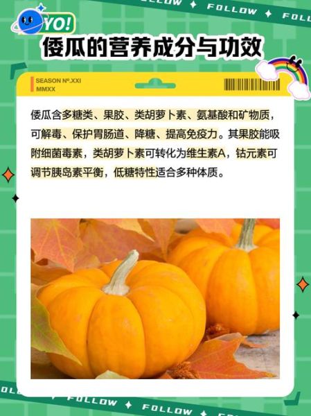 东北窝瓜和南瓜是一样的吗_区别与营养价值-第1张图片-山城妙识 东北窝瓜和南瓜是一样的吗_区别与营养价值-第1张图片-山城妙识