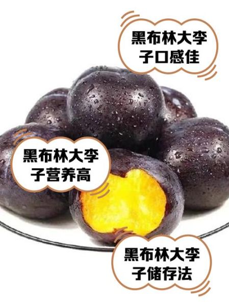 黑布林热量是多少_减肥能吃黑布林吗-第1张图片-山城妙识 黑布林热量是多少_减肥能吃黑布林吗-第1张图片-山城妙识