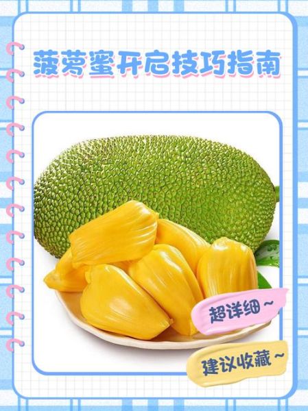 菠萝蜜国际通道入口1_如何安全访问-第1张图片-山城妙识