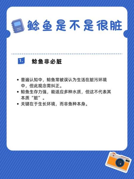 鲶鱼很脏吗_鲶鱼到底脏不脏-第1张图片-山城妙识