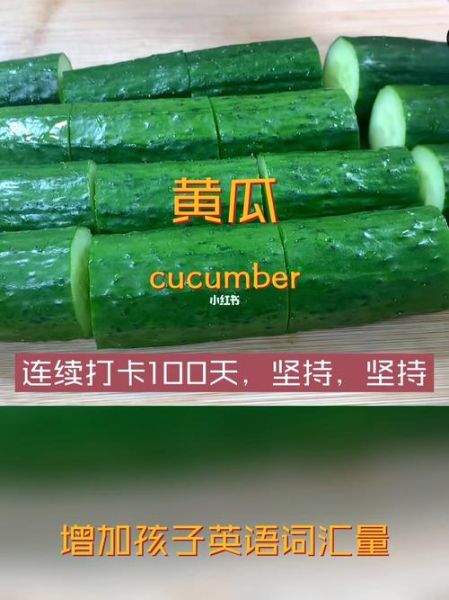 青瓜英语怎么说_青瓜英文怎么读-第1张图片-山城妙识 青瓜英语怎么说_青瓜英文怎么读-第1张图片-山城妙识