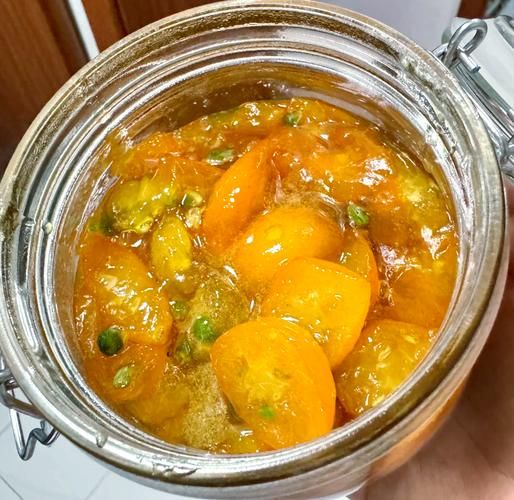 金桔膏的正确做法_金桔膏怎么熬不苦-第2张图片-山城妙识 金桔膏的正确做法_金桔膏怎么熬不苦-第2张图片-山城妙识