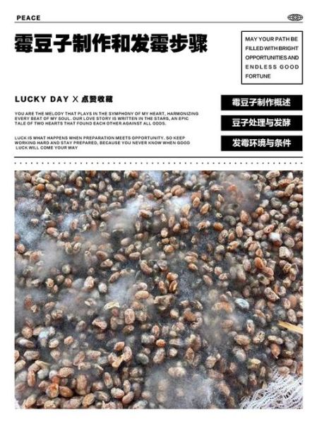 自制霉黄豆怎么做_霉黄豆发酵失败原因-第1张图片-山城妙识 自制霉黄豆怎么做_霉黄豆发酵失败原因-第1张图片-山城妙识