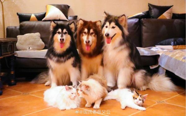 酒鬼一家怎么样_酒鬼一家值得买吗-第1张图片-山城妙识 酒鬼一家怎么样_酒鬼一家值得买吗-第1张图片-山城妙识