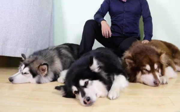 酒鬼一家怎么样_酒鬼一家值得买吗-第2张图片-山城妙识 酒鬼一家怎么样_酒鬼一家值得买吗-第2张图片-山城妙识