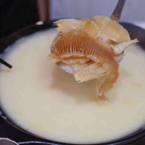 雪鱼翅最简单的做法_雪鱼翅怎么做好吃又简单-第1张图片-山城妙识 雪鱼翅最简单的做法_雪鱼翅怎么做好吃又简单-第1张图片-山城妙识