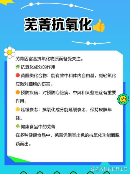 芜菁在中国叫什么_芜菁和萝卜的区别-第3张图片-山城妙识