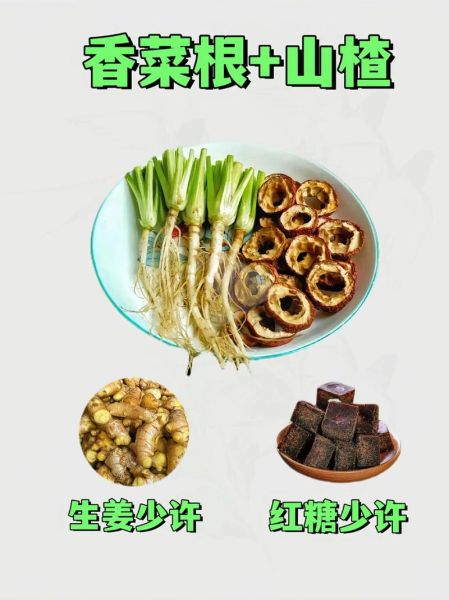 香菜根的功效与作用_香菜根的禁忌人群-第2张图片-山城妙识