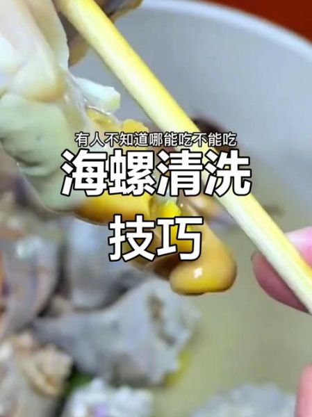 长螺怎么清洗_长螺怎么吃才安全-第1张图片-山城妙识