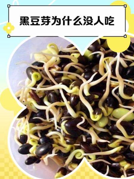 黑豆芽的营养价值及功效_黑豆芽怎么吃最健康-第1张图片-山城妙识 黑豆芽的营养价值及功效_黑豆芽怎么吃最健康-第1张图片-山城妙识