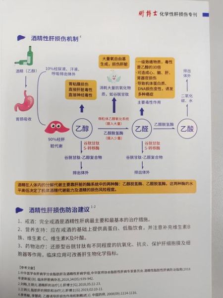 正常人几个小时醒酒_酒精多久能代谢完-第1张图片-山城妙识 正常人几个小时醒酒_酒精多久能代谢完-第1张图片-山城妙识