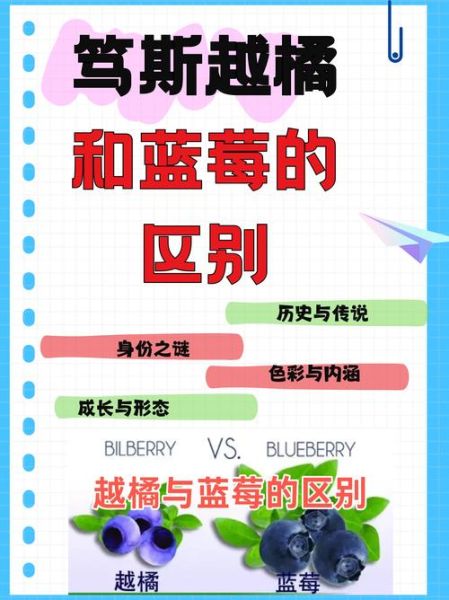 越橘和蓝莓的区别_越橘的功效与作用-第1张图片-山城妙识 越橘和蓝莓的区别_越橘的功效与作用-第1张图片-山城妙识
