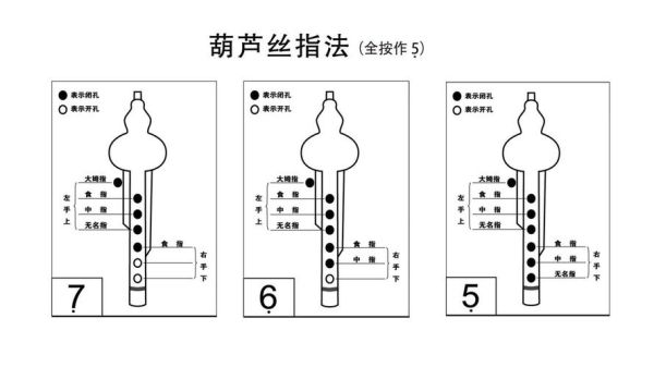葫芦丝入门指法_葫芦丝怎么吹1234567-第2张图片-山城妙识 葫芦丝入门指法_葫芦丝怎么吹1234567-第2张图片-山城妙识
