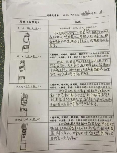 绿豆芽怎么发芽_绿豆芽观察日记怎么写-第1张图片-山城妙识