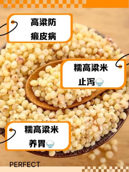 高粱米哪些人不能吃_高粱米禁忌人群-第3张图片-山城妙识 高粱米哪些人不能吃_高粱米禁忌人群-第3张图片-山城妙识