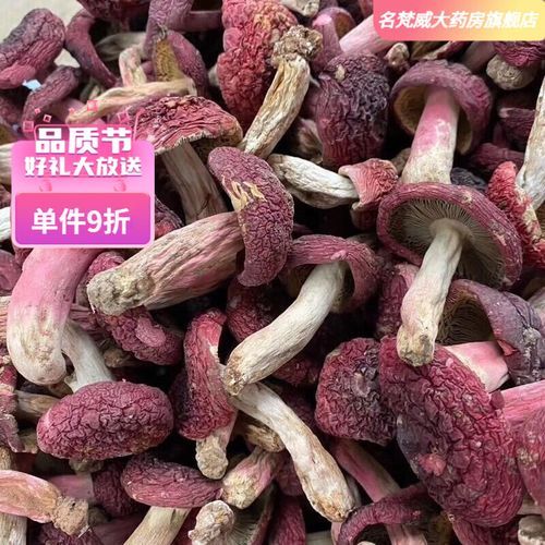 野生红菇多少钱一斤_野生红菇价格为什么这么贵-第2张图片-山城妙识 野生红菇多少钱一斤_野生红菇价格为什么这么贵-第2张图片-山城妙识