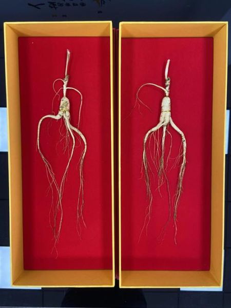 100年野山参价格表_多少钱一克-第2张图片-山城妙识