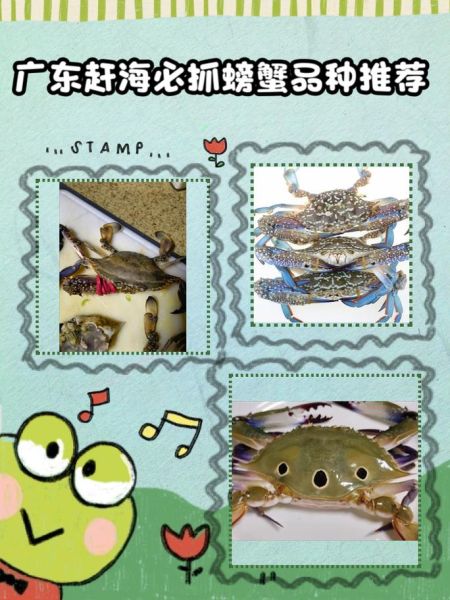 螃蟹品种大全及名称_哪种螃蟹最好吃-第3张图片-山城妙识 螃蟹品种大全及名称_哪种螃蟹最好吃-第3张图片-山城妙识