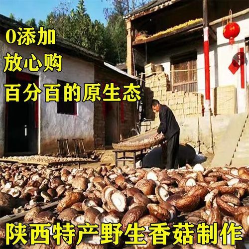 香菇怎么烤成零食干_香菇干怎么做才脆-第1张图片-山城妙识 香菇怎么烤成零食干_香菇干怎么做才脆-第1张图片-山城妙识
