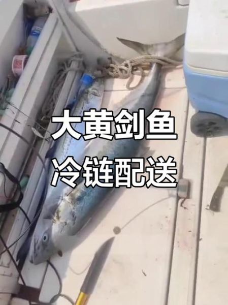 黄剑鱼叫什么_黄剑鱼别名叫什么-第1张图片-山城妙识 黄剑鱼叫什么_黄剑鱼别名叫什么-第1张图片-山城妙识