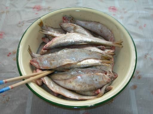 黄剑鱼叫什么_黄剑鱼别名叫什么-第2张图片-山城妙识 黄剑鱼叫什么_黄剑鱼别名叫什么-第2张图片-山城妙识