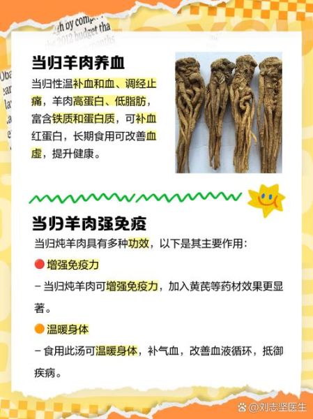 当归羊肉汤的功效与作用_适合哪些人喝-第3张图片-山城妙识 当归羊肉汤的功效与作用_适合哪些人喝-第3张图片-山城妙识